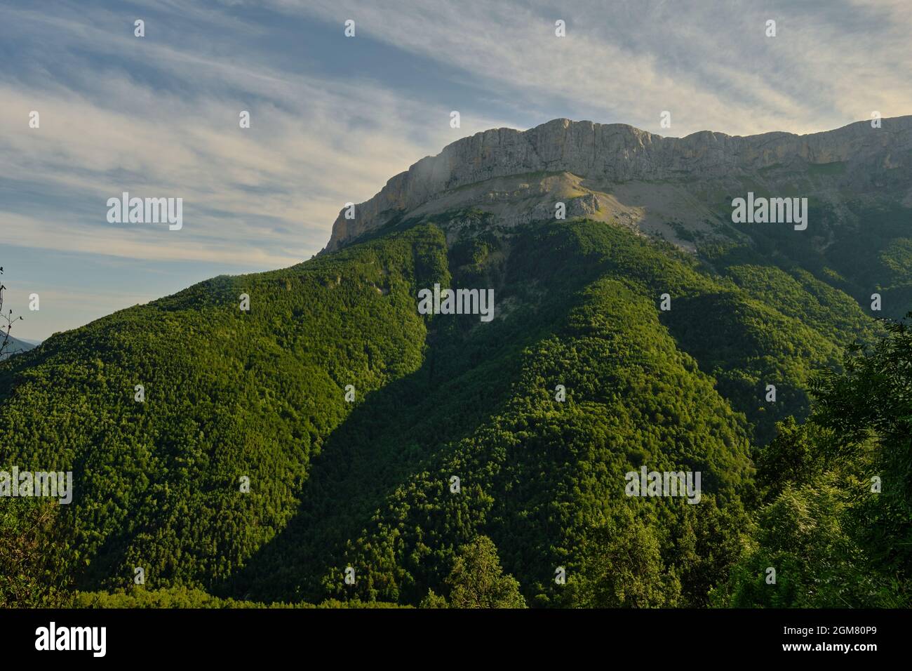 a mountain range covered with greenery Stock Photo - Alamy