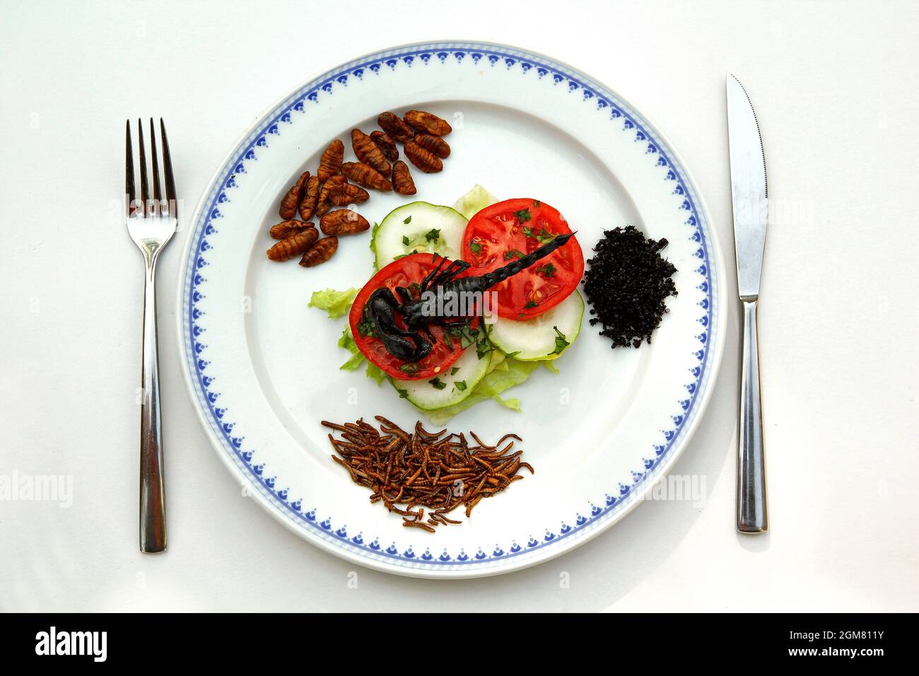 Edible scorpion and insects in a dish Stock Photo - Alamy