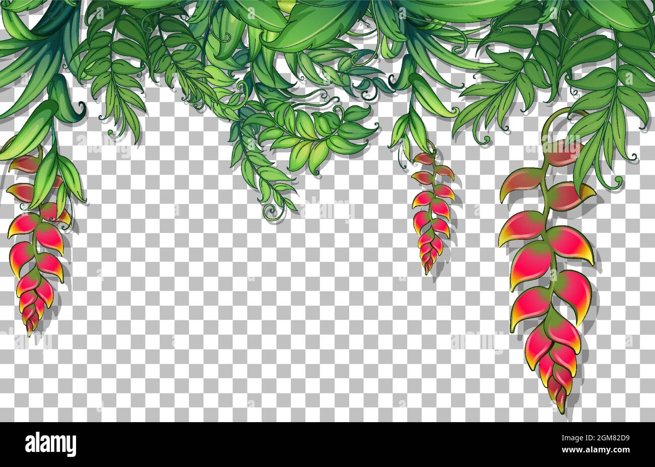 Various tropical leaves on transparent background illustration Stock ...