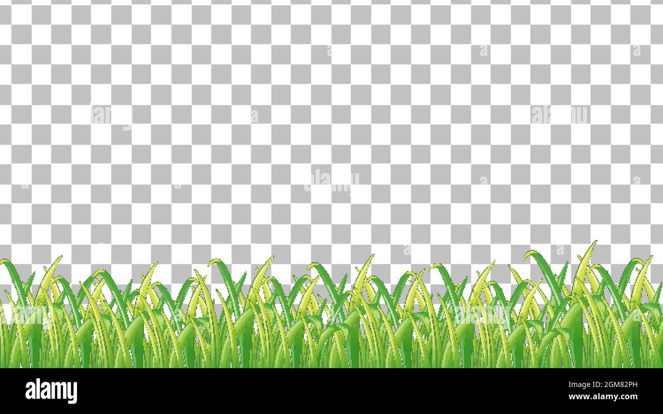 Simple Grass Vector