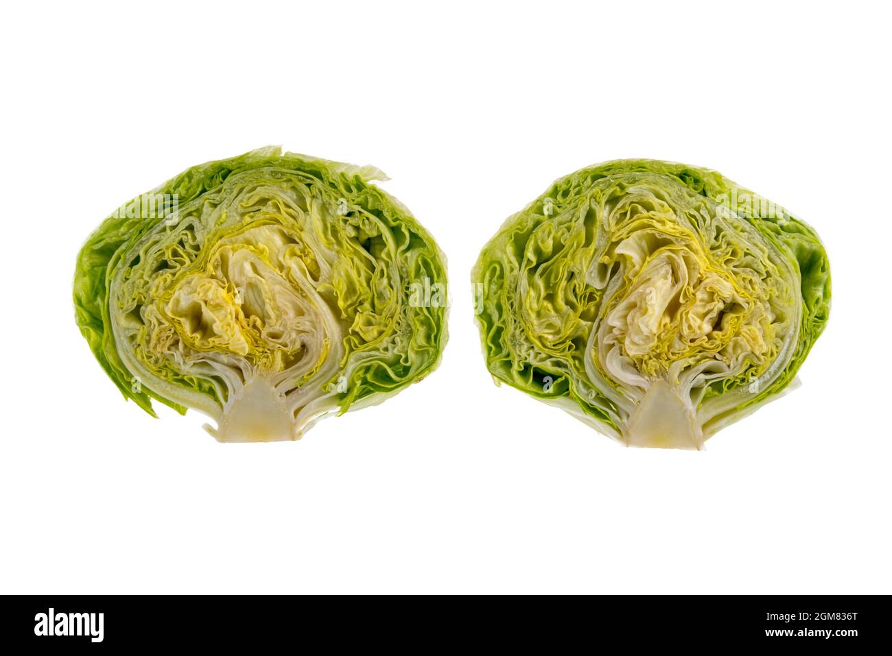 Fresh iceberg lettuce cut in cross section isolated on white background ...