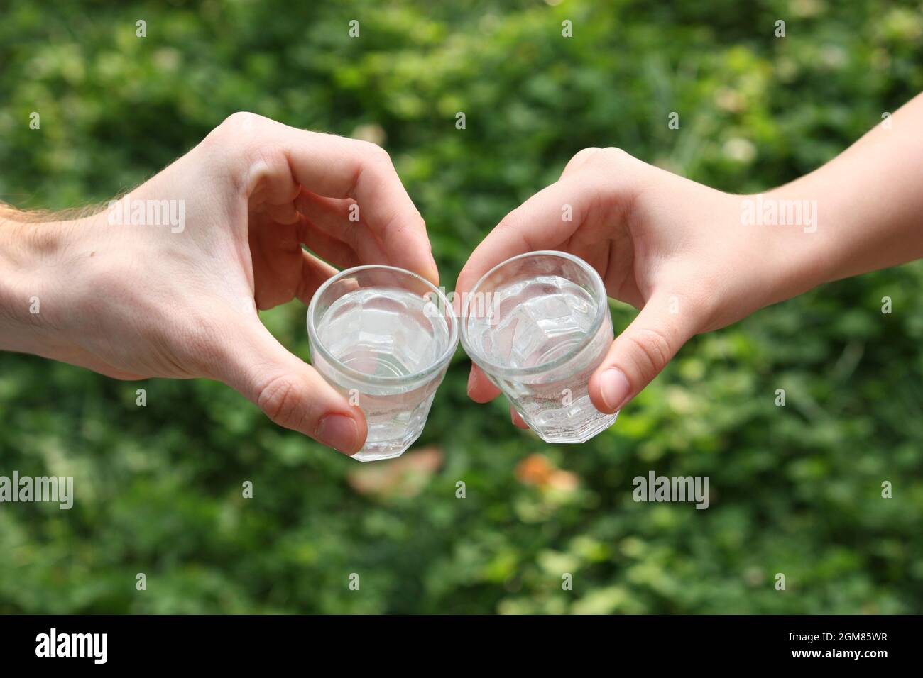 two hands holding shots of vodka above green grass outdoors Stock Photo ...