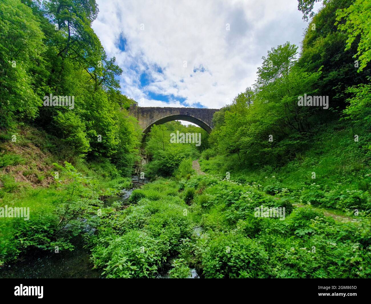Causey arch hi-res stock photography and images - Alamy