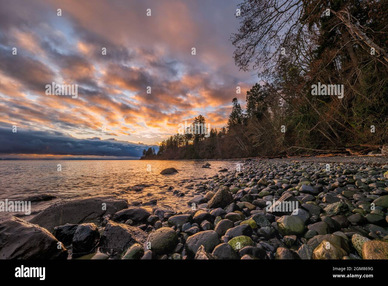 Comox valley hi-res stock photography and images - Alamy