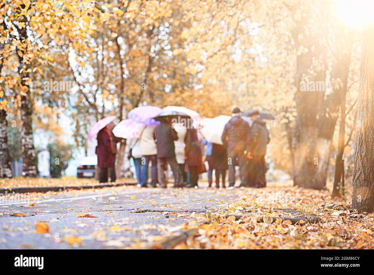 Autumn rain in the park during the day Stock Photo - Alamy