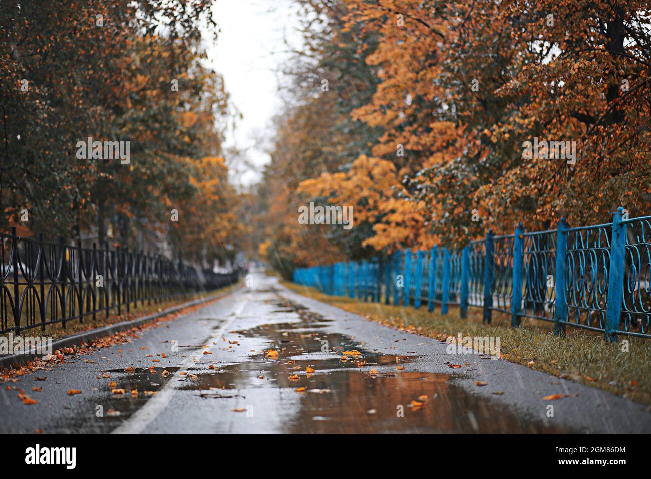 Autumn rain in the park during the day Stock Photo - Alamy