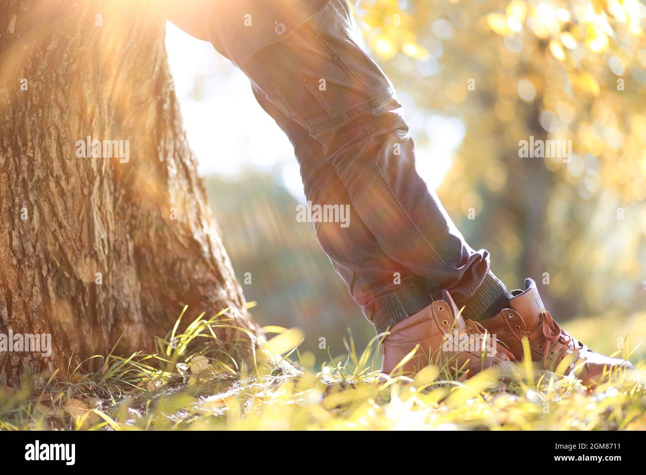 Autumn Park man walking along a path foliage Stock Photo - Alamy