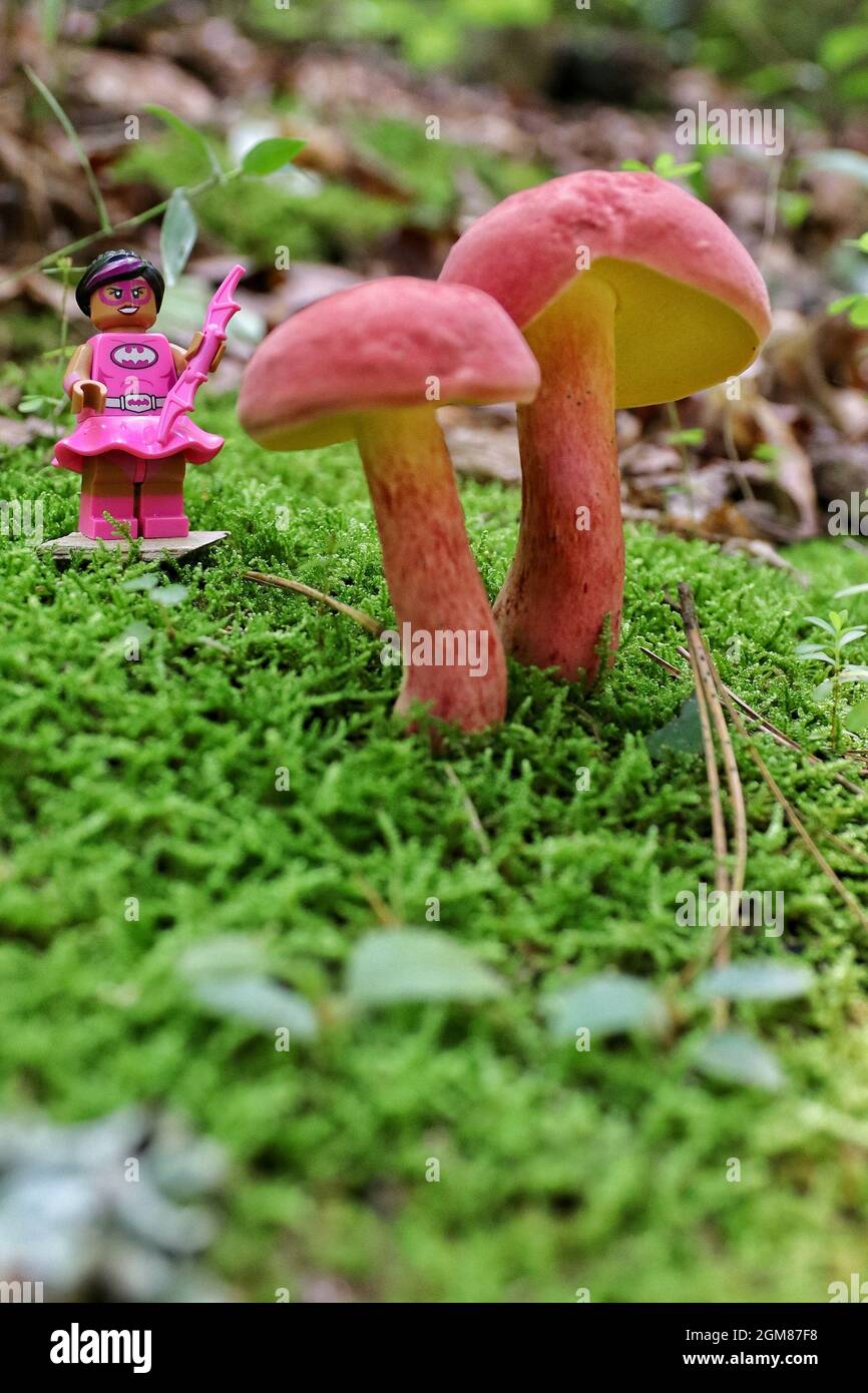 Mini batman logo hi-res stock photography and images - Alamy