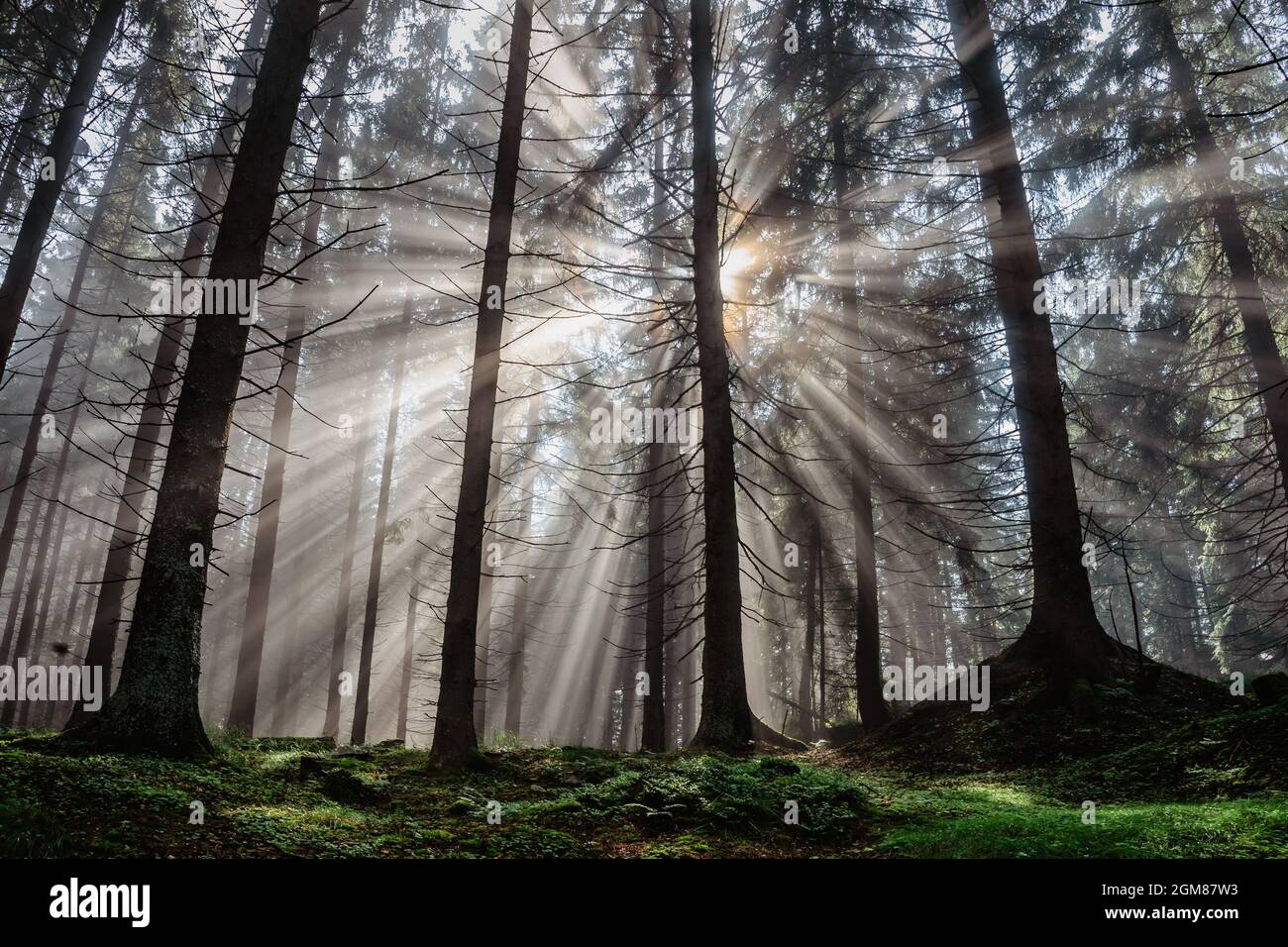 Magical illumination hi-res stock photography and images - Alamy