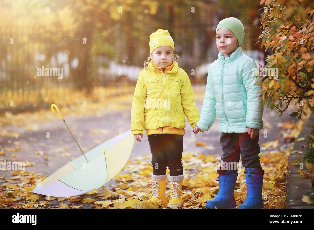Children walk in the autumn park in the fall Stock Photo - Alamy