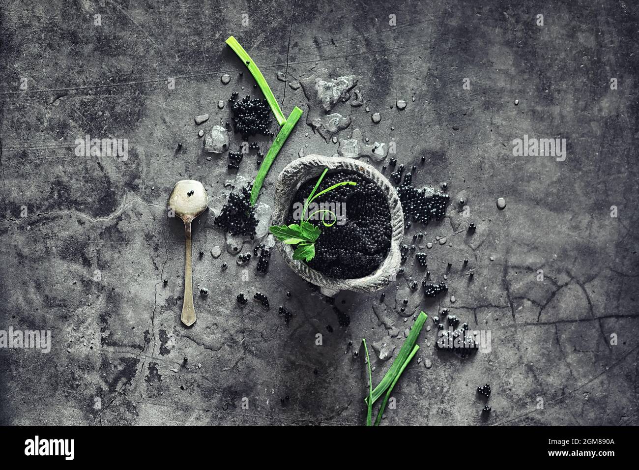 Fresh black fish roe. Beluga caviar served with ice with green Stock ...