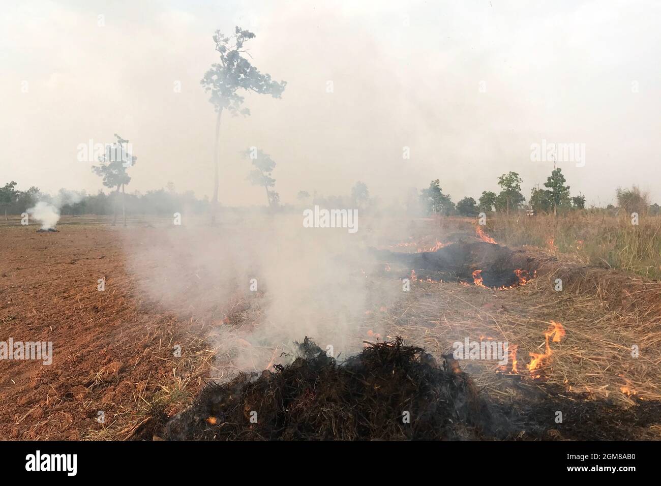 Fire is burning hay in the dry season Stock Photo - Alamy
