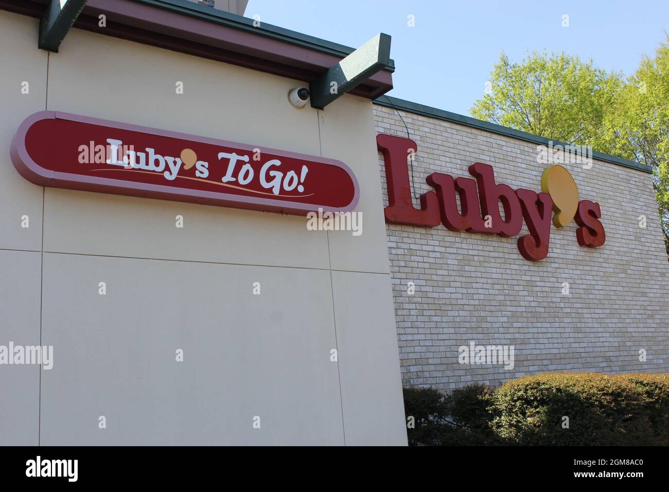 Lubys Logo