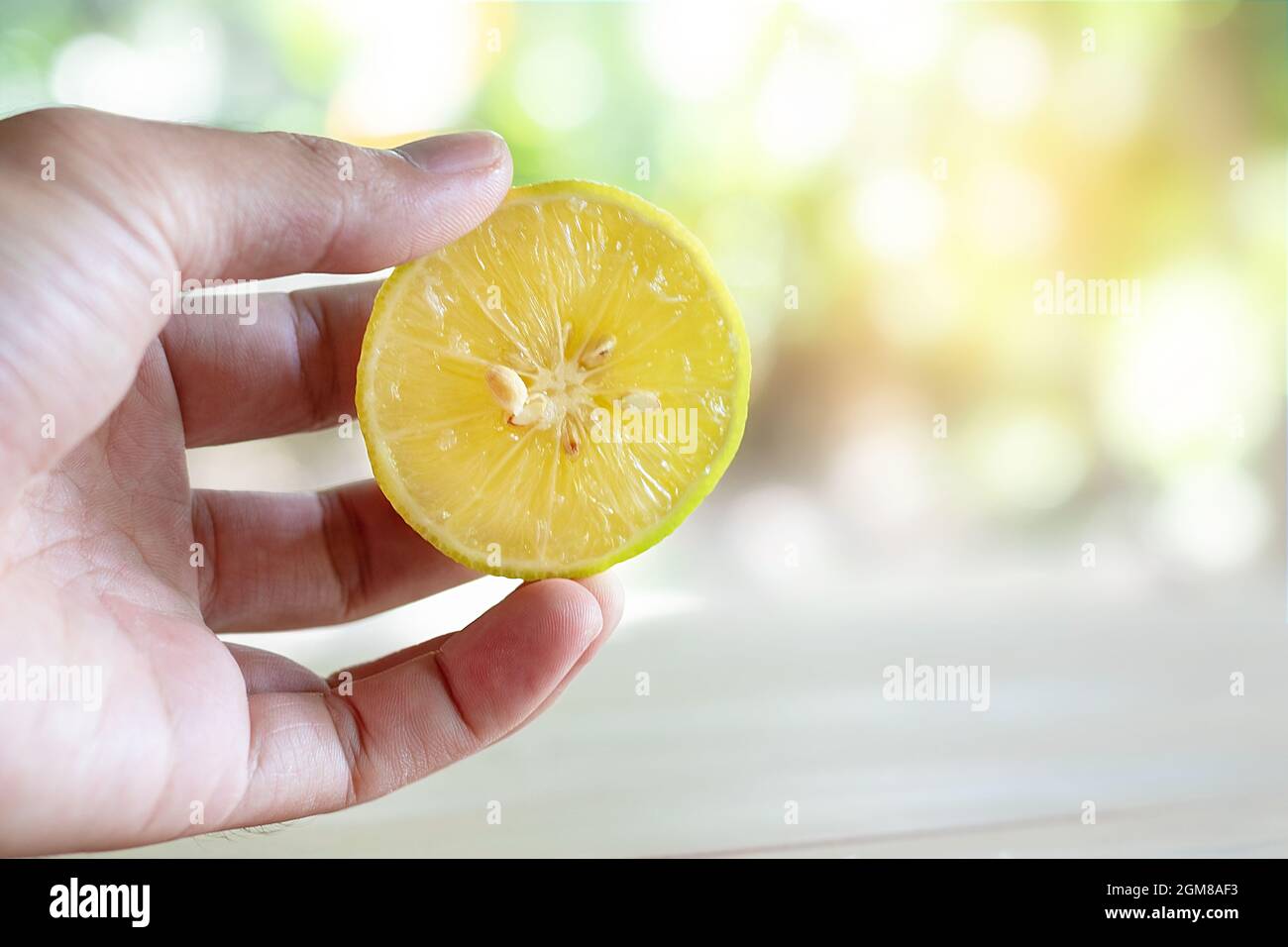 Hand holding fresh lemon with nature background Stock Photo - Alamy