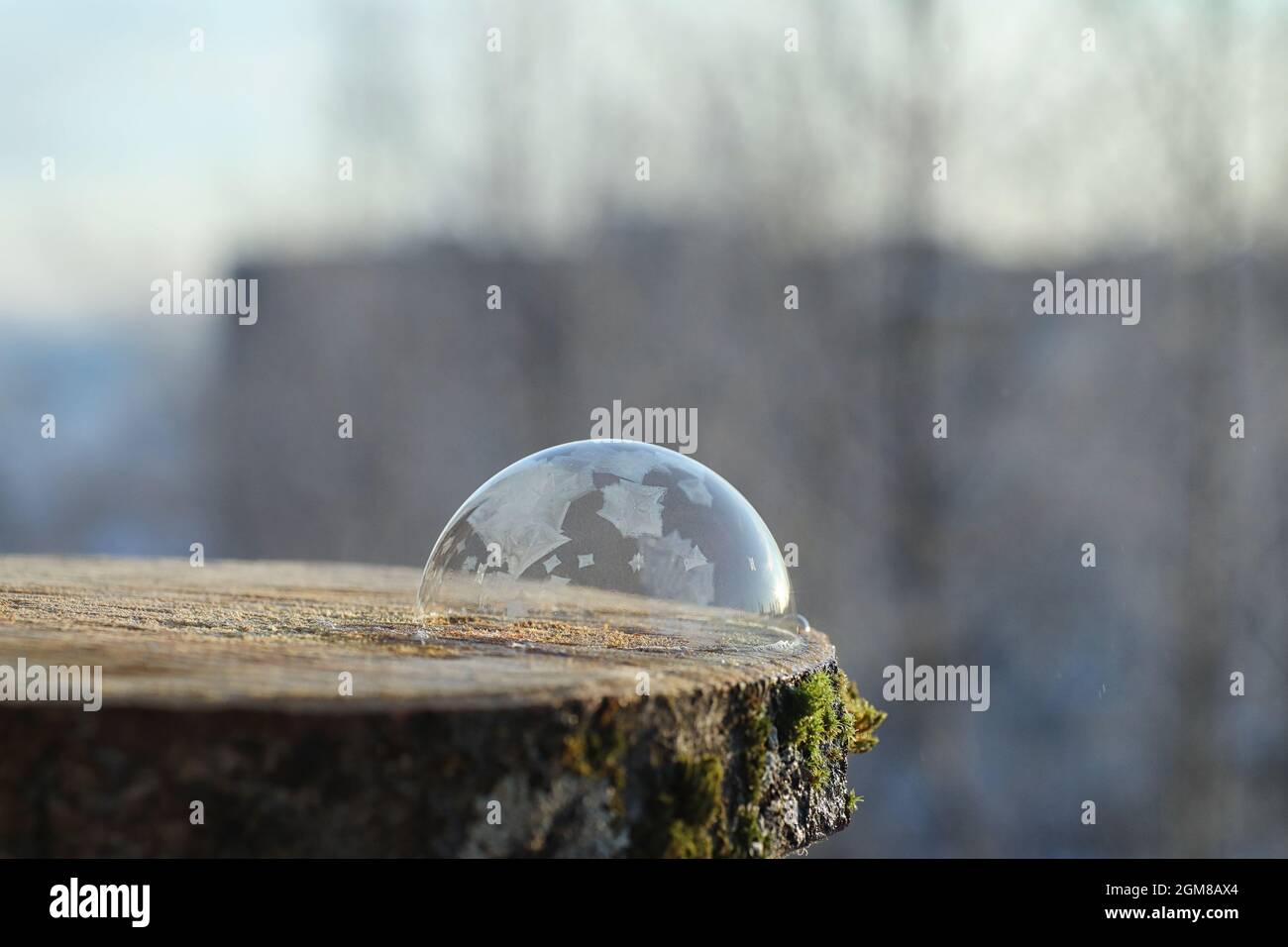 Soap bubbles freeze in the cold. Winter soapy water freezes in air ...