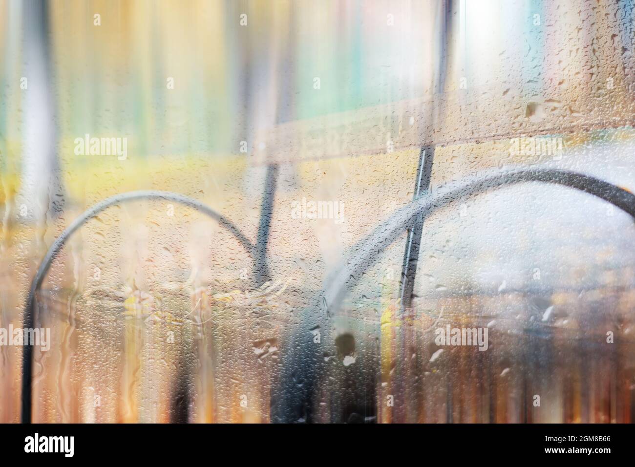 Background autumn rain in the park during the day Stock Photo - Alamy