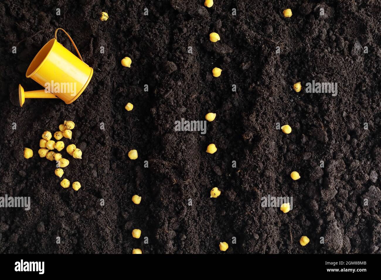 Seeds in the ground. Seed preparation for planting in the spring ...