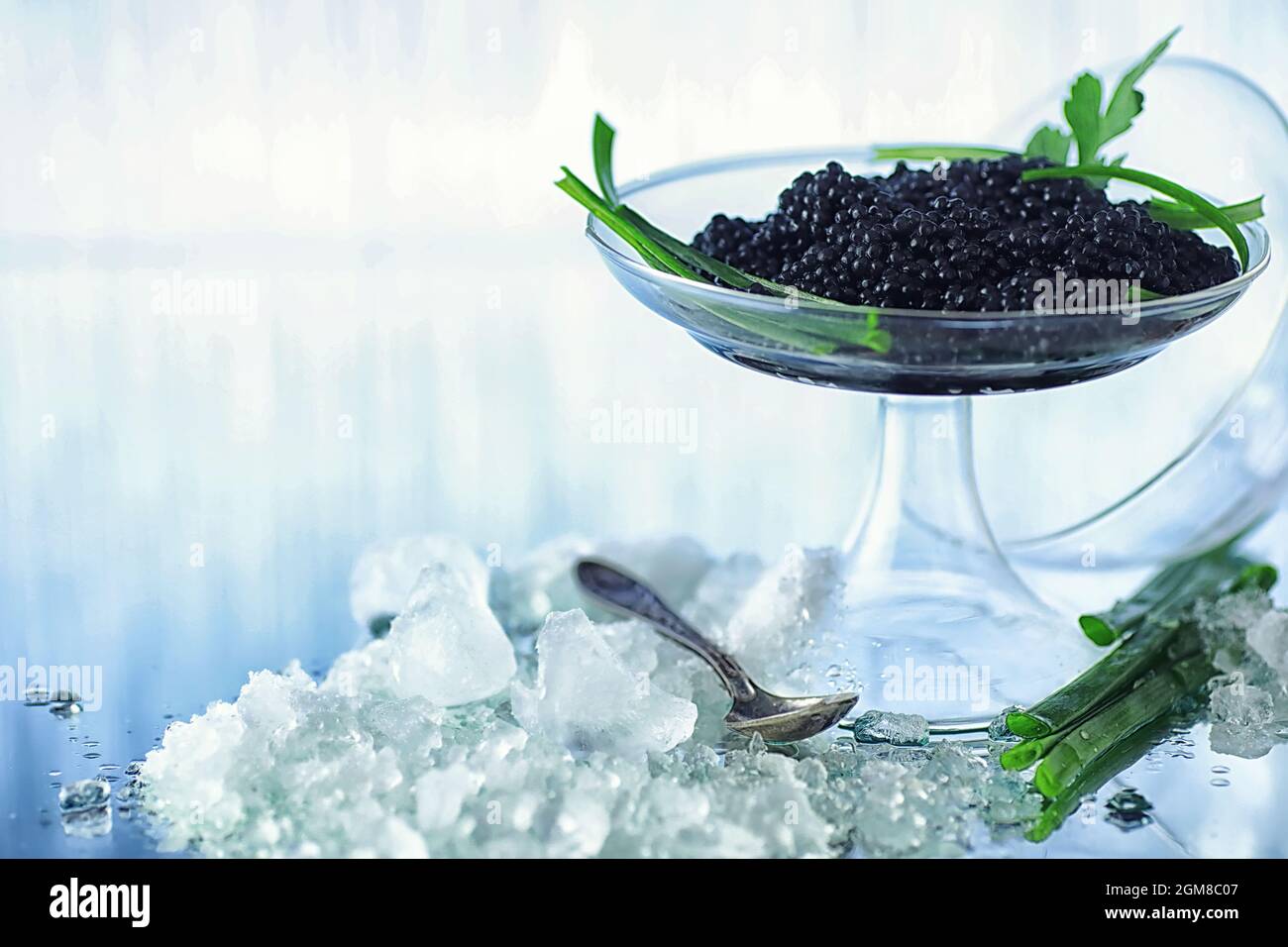 Fresh black fish roe. Beluga caviar served with ice with green Stock ...