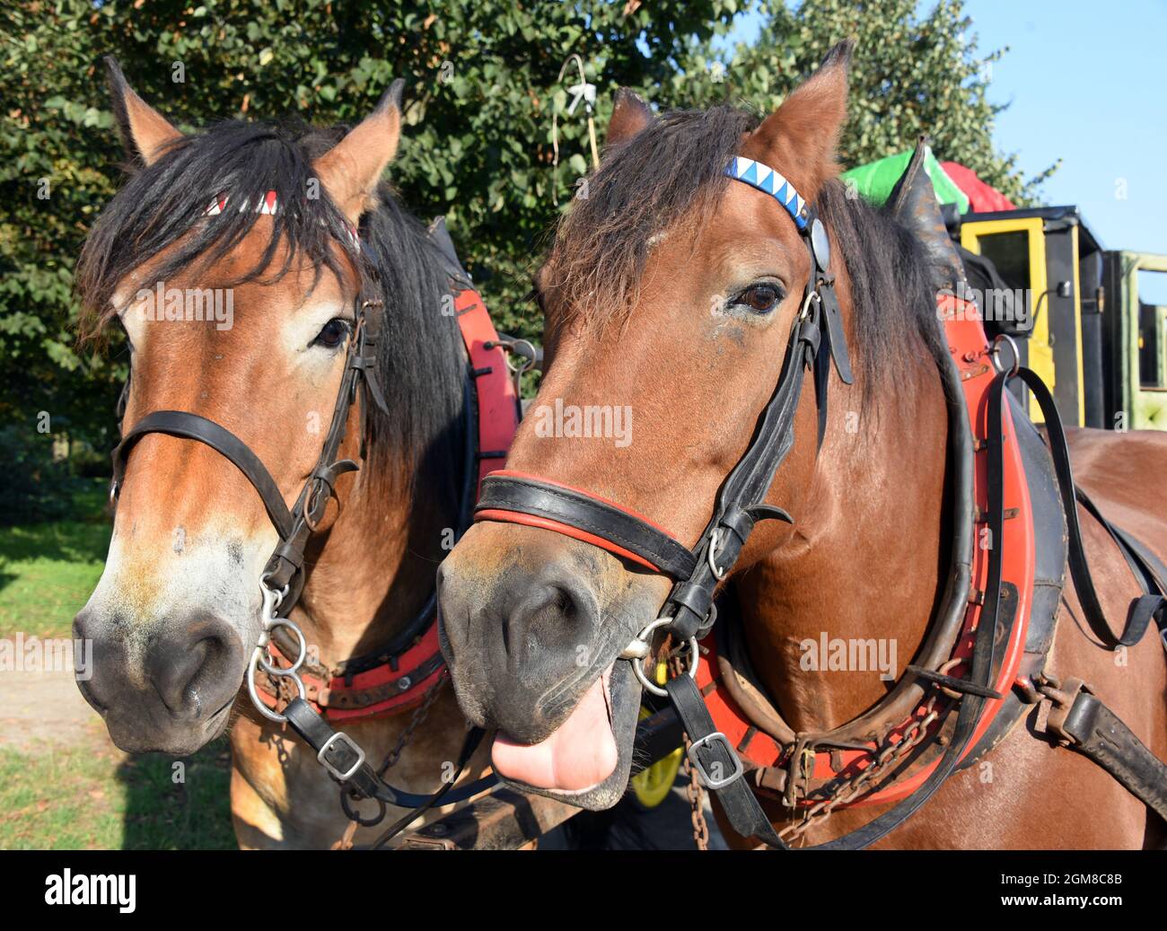 Stagecoach replica hi-res stock photography and images - Alamy
