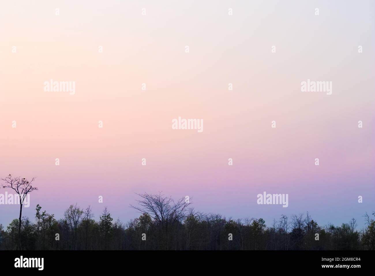 Beautiful scenery of sunset in the forest. Bright orange color of the ...