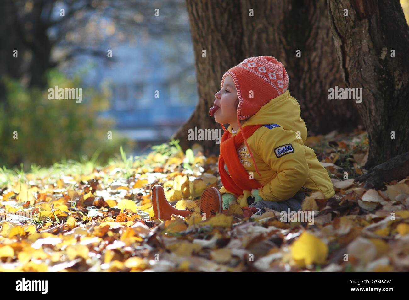 A young kids in a park walk outdoor Stock Photo - Alamy