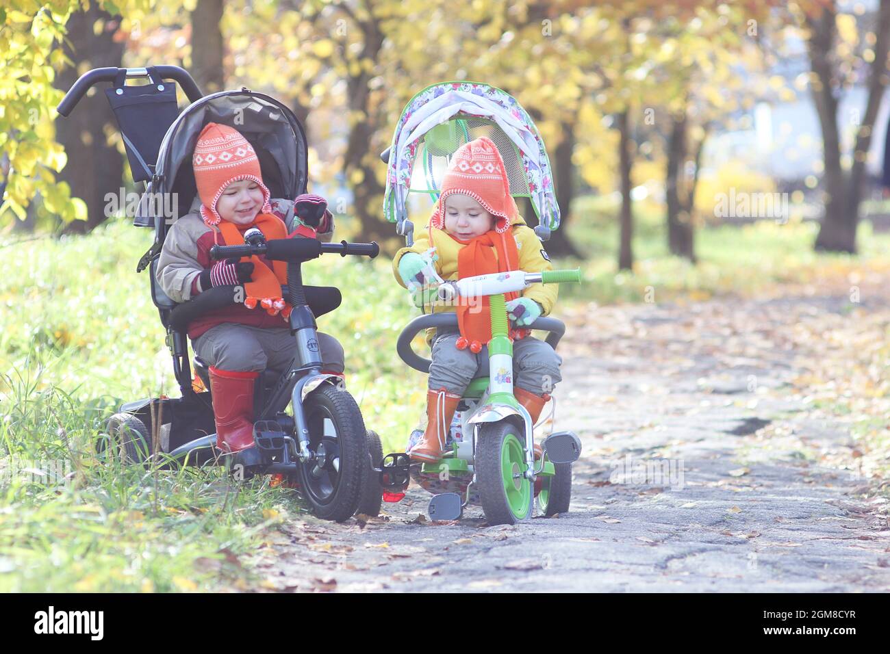 A young kids in a park walk outdoor Stock Photo - Alamy