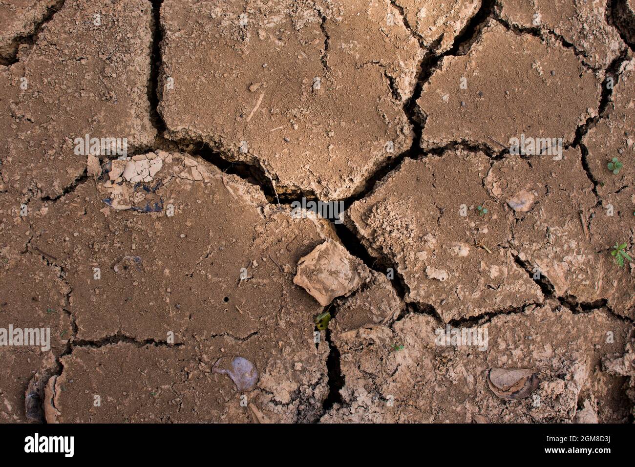 Cracked clay ground hi-res stock photography and images - Alamy