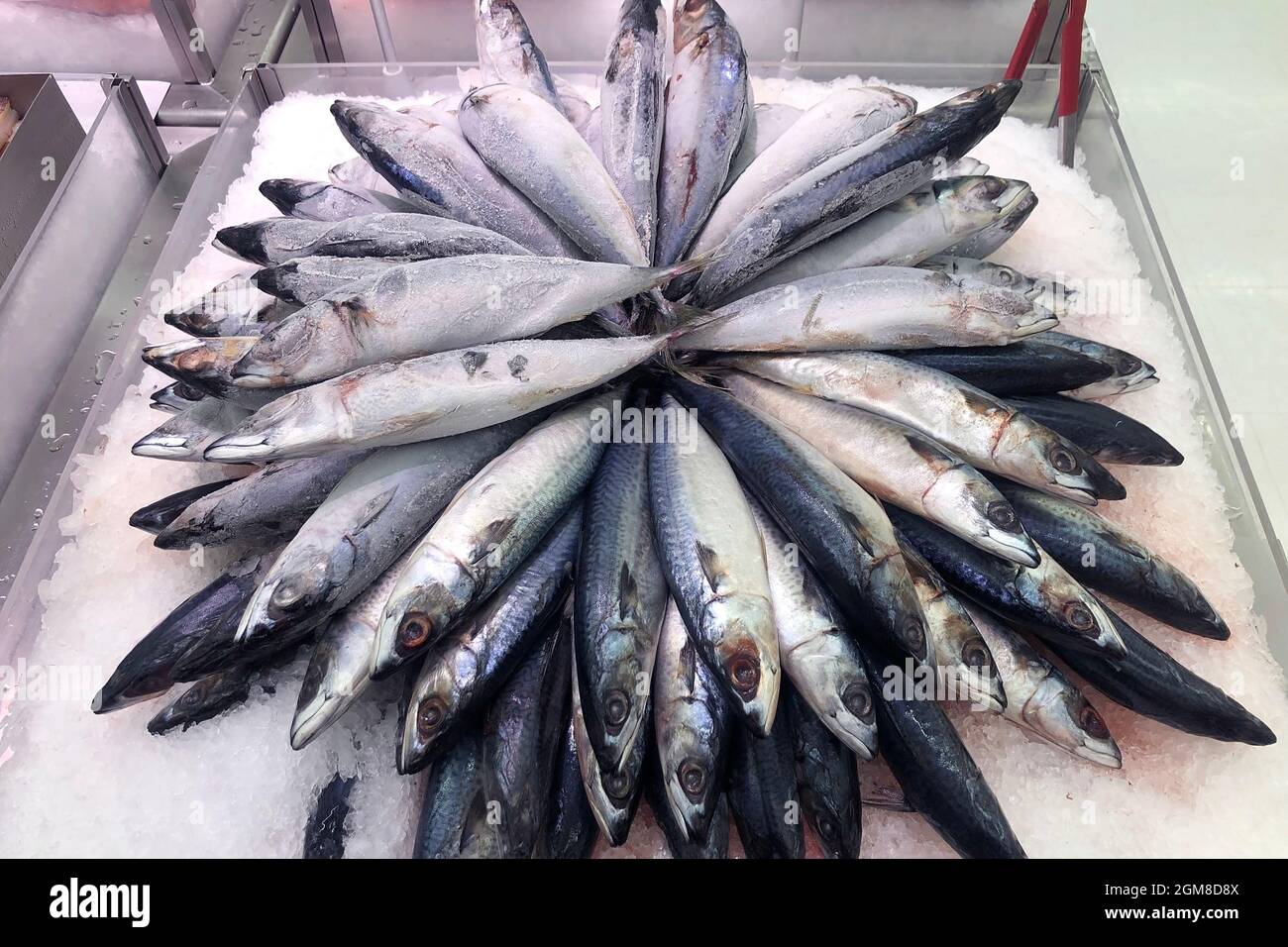 Fresh mackerel fish in supermarket Stock Photo - Alamy