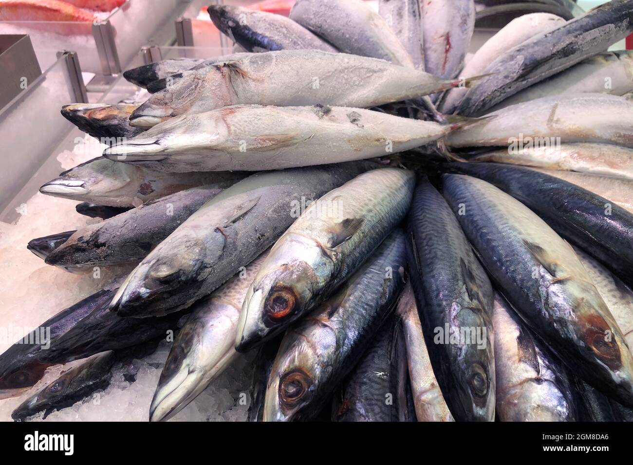 Fresh mackerel fish in supermarket Stock Photo - Alamy