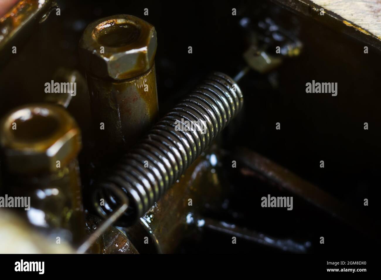 Internal engine spring close up. Engine walking tractor Stock Photo - Alamy
