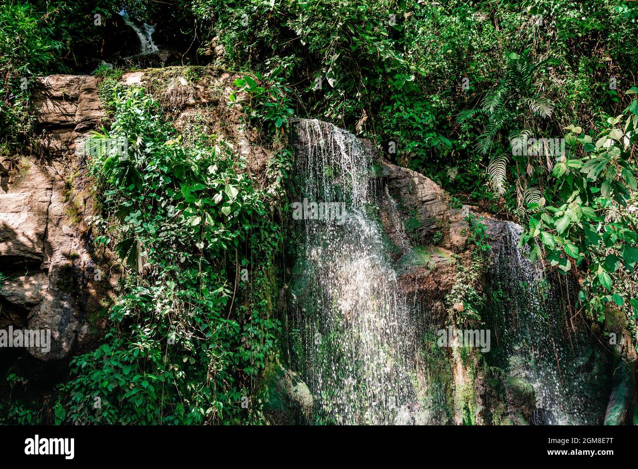 Water falling down some rocks forming a small waterfall in the jungle ...