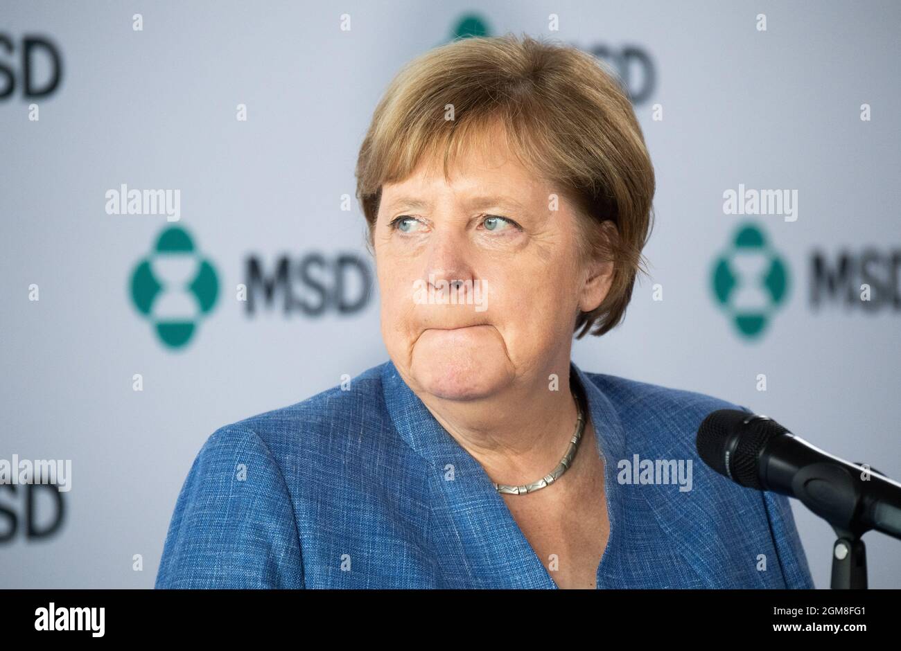 Msd High Resolution Stock Photography and Images - Alamy