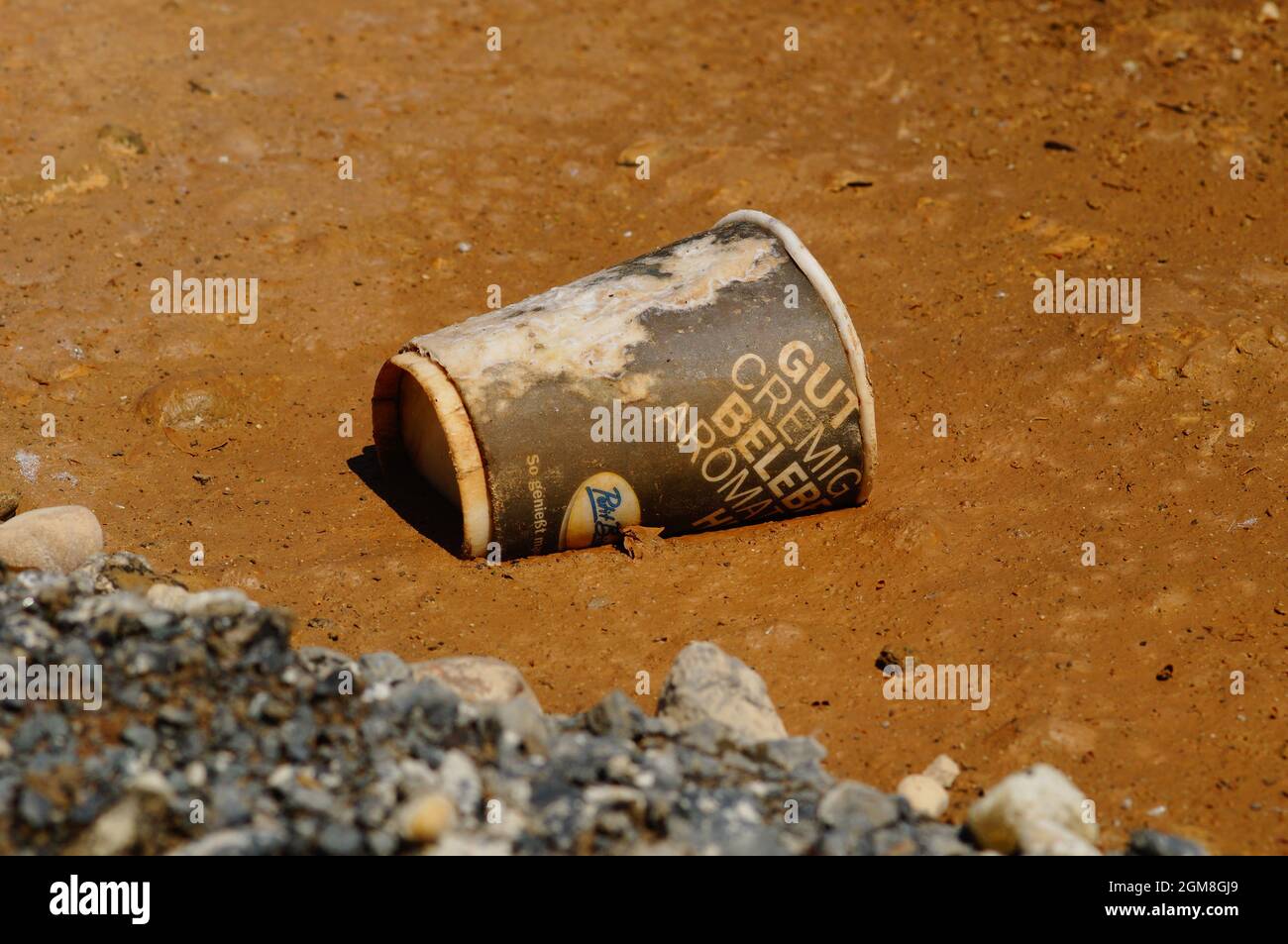 FRANKFURT, GERMANY - Jun 09, 2021: A disposable coffee cup in the mud ...
