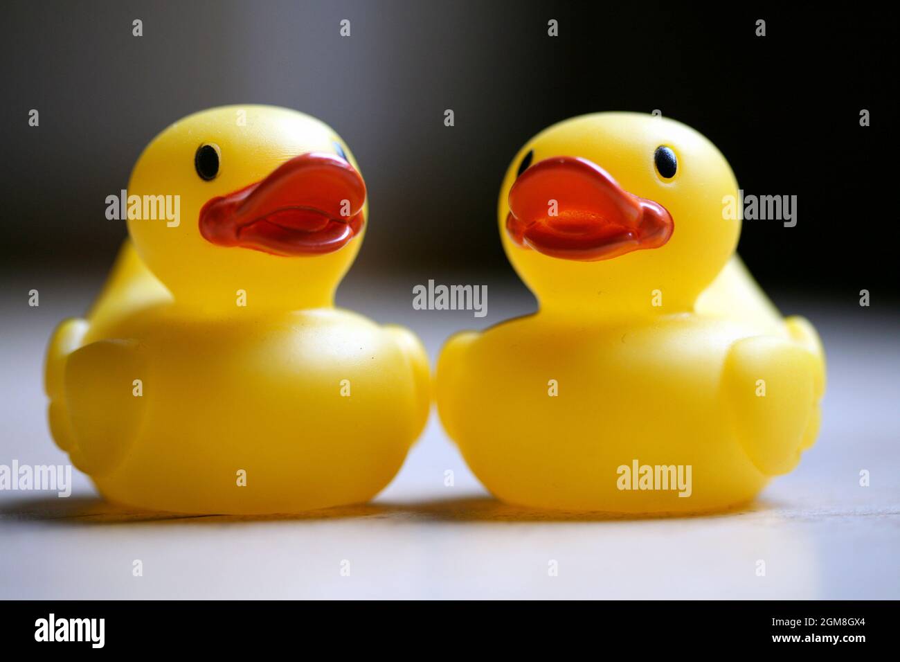 Bath ducklings hi-res stock photography and images - Alamy