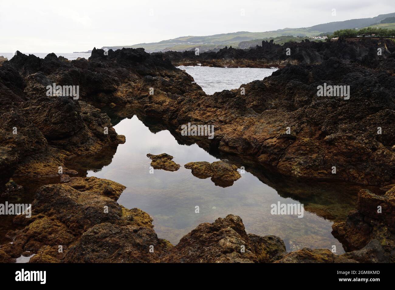The natural pools of Biscoitos, Terceira island, Azores Stock Photo - Alamy