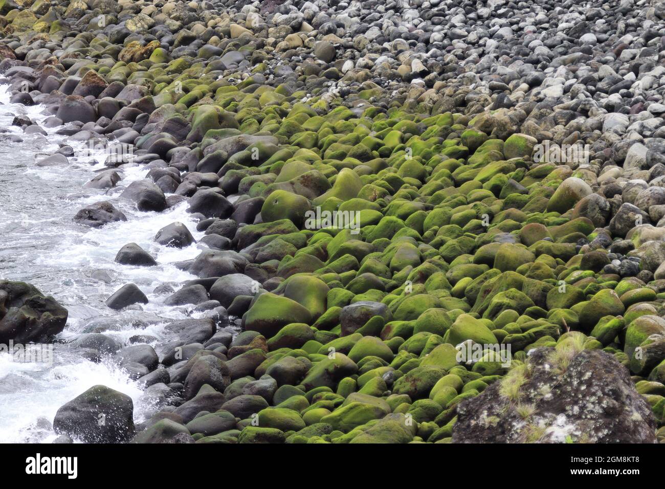Bay of stones by the color green, Terceira Island, Azores Stock Photo ...