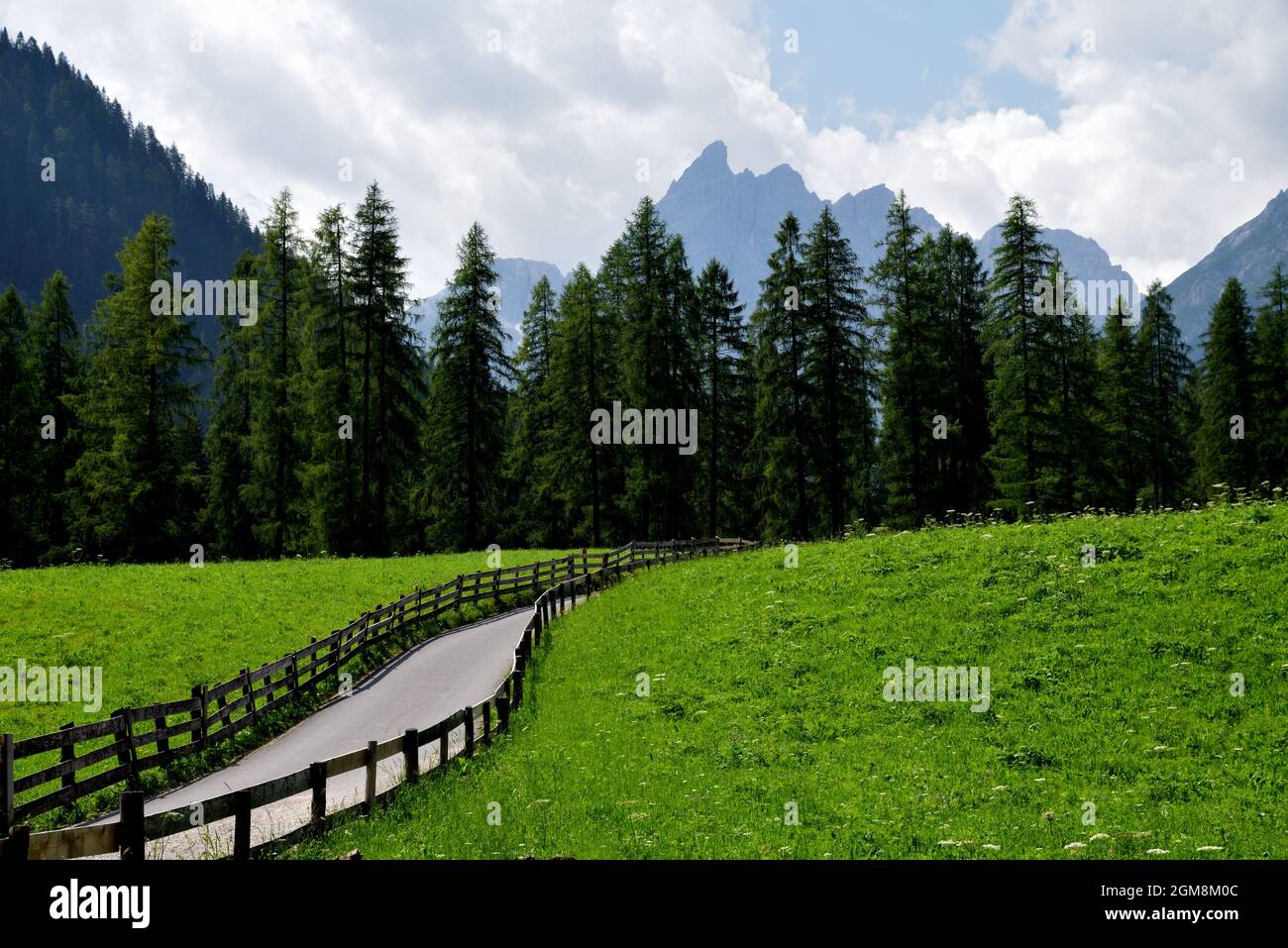 The path runs through the valley passing through the woods and reaches ...