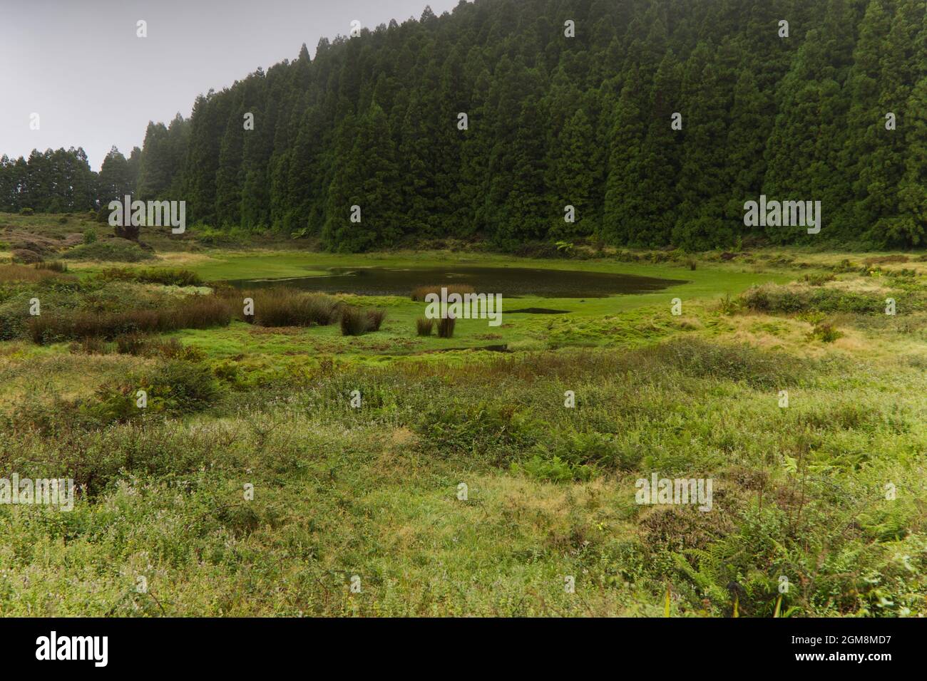 Lagoa do Negro, Terceira island, Azores Stock Photo - Alamy