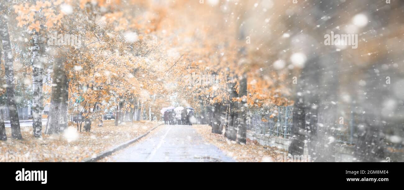 Background autumn park in the days of the first snow Stock Photo - Alamy
