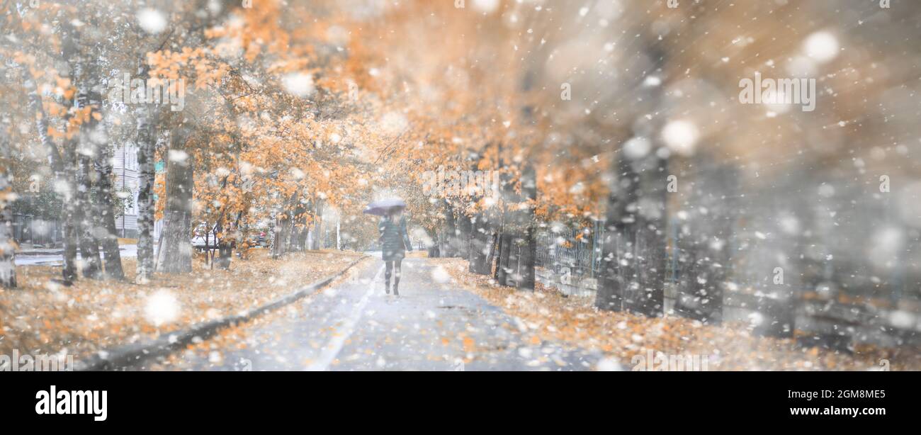 Background autumn park in the days of the first snow Stock Photo - Alamy