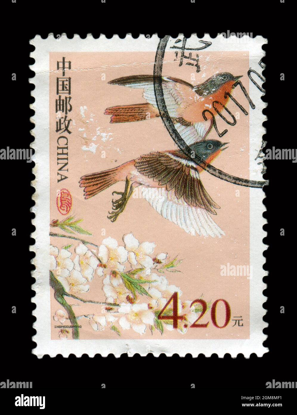 China birds hi-res stock photography and images - Alamy