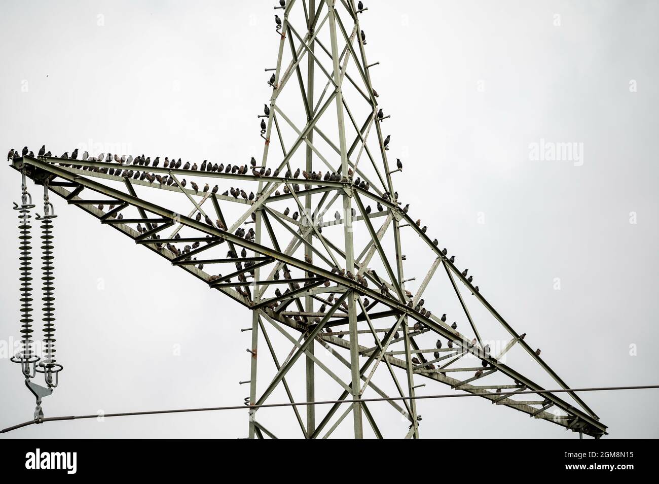 Low angle shot of a detail of a transmission tower Stock Photo - Alamy
