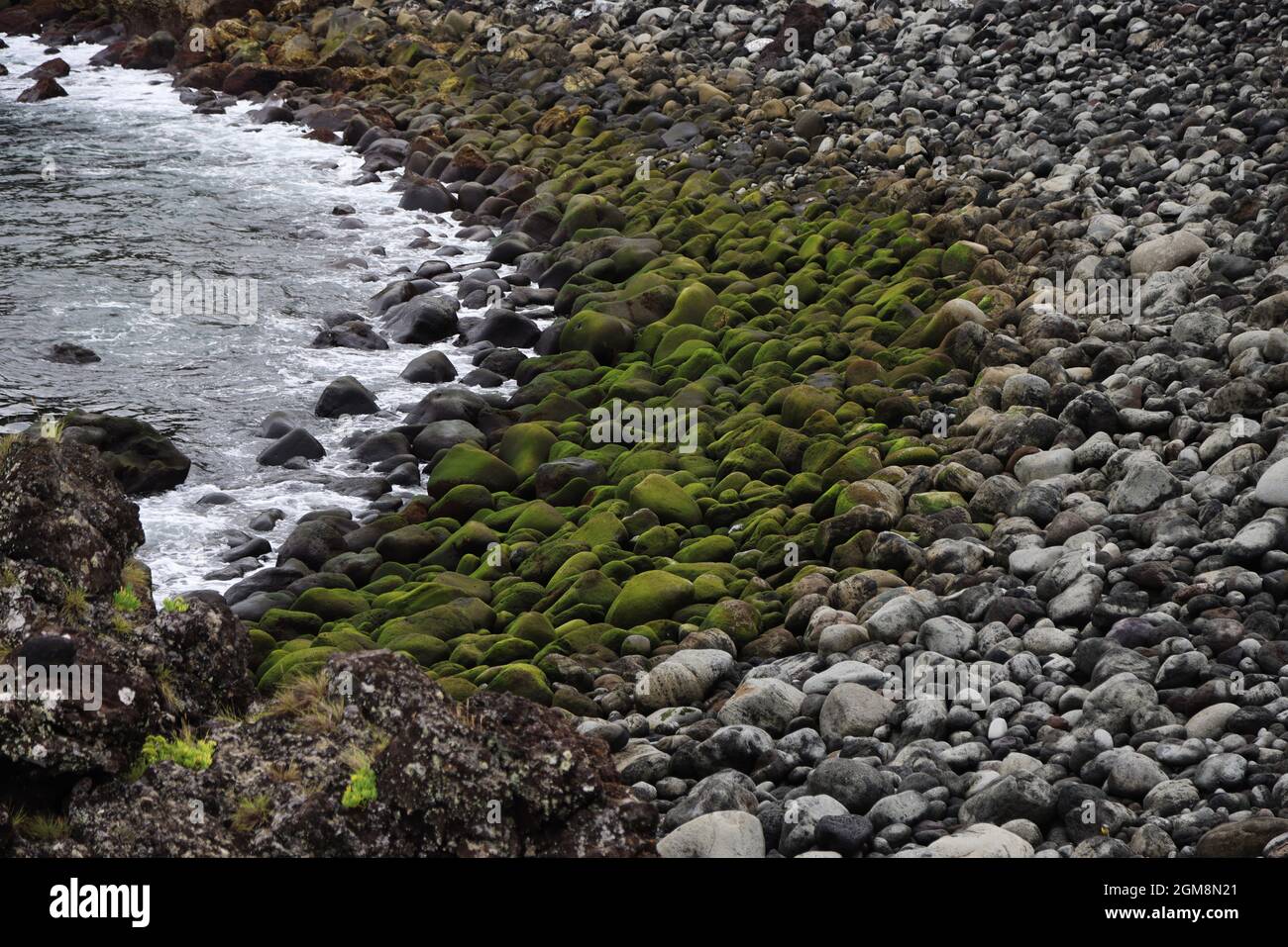 Bay of stones by the color green, Terceira Island, Azores Stock Photo ...