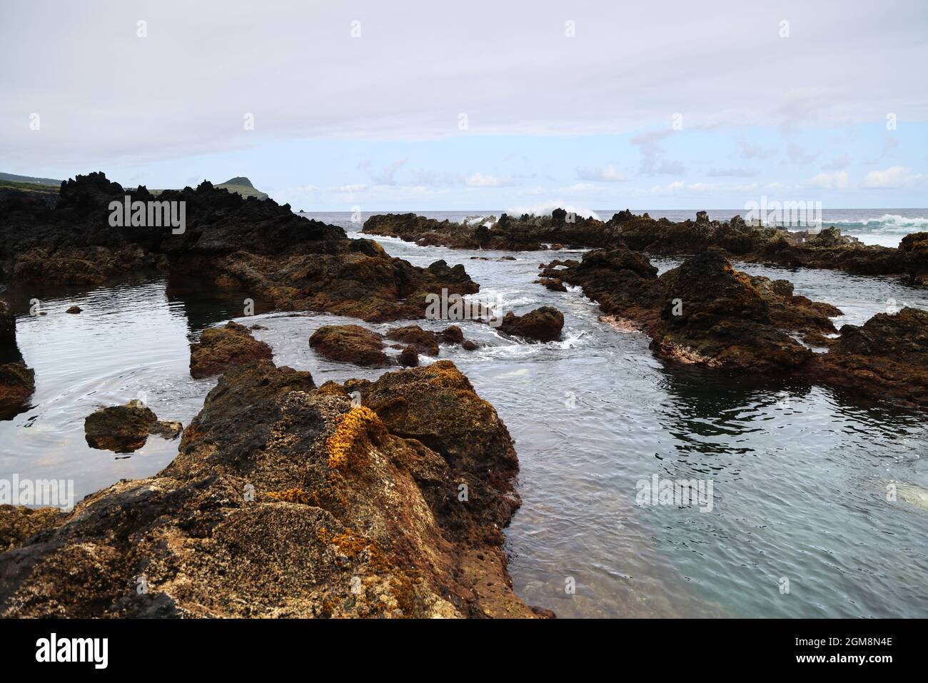 The natural pools of Biscoitos, Terceira island, Azores Stock Photo - Alamy