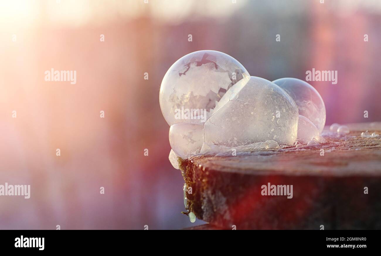 Soap bubbles freeze in the cold. Winter soapy water freezes in air ...