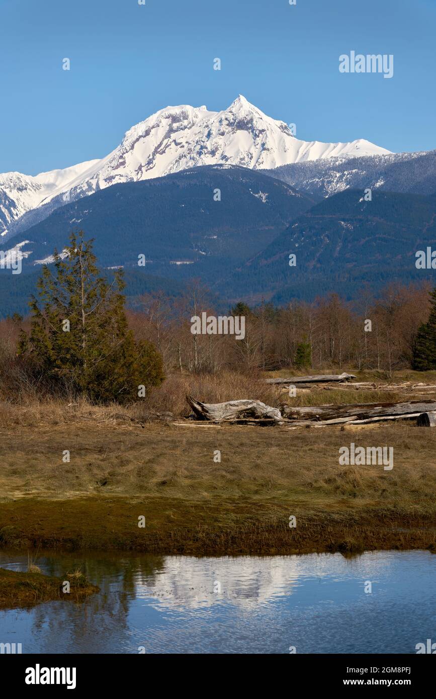 Mt. Garibaldi Squamish Estuary Reflection. The reflection of Mt ...