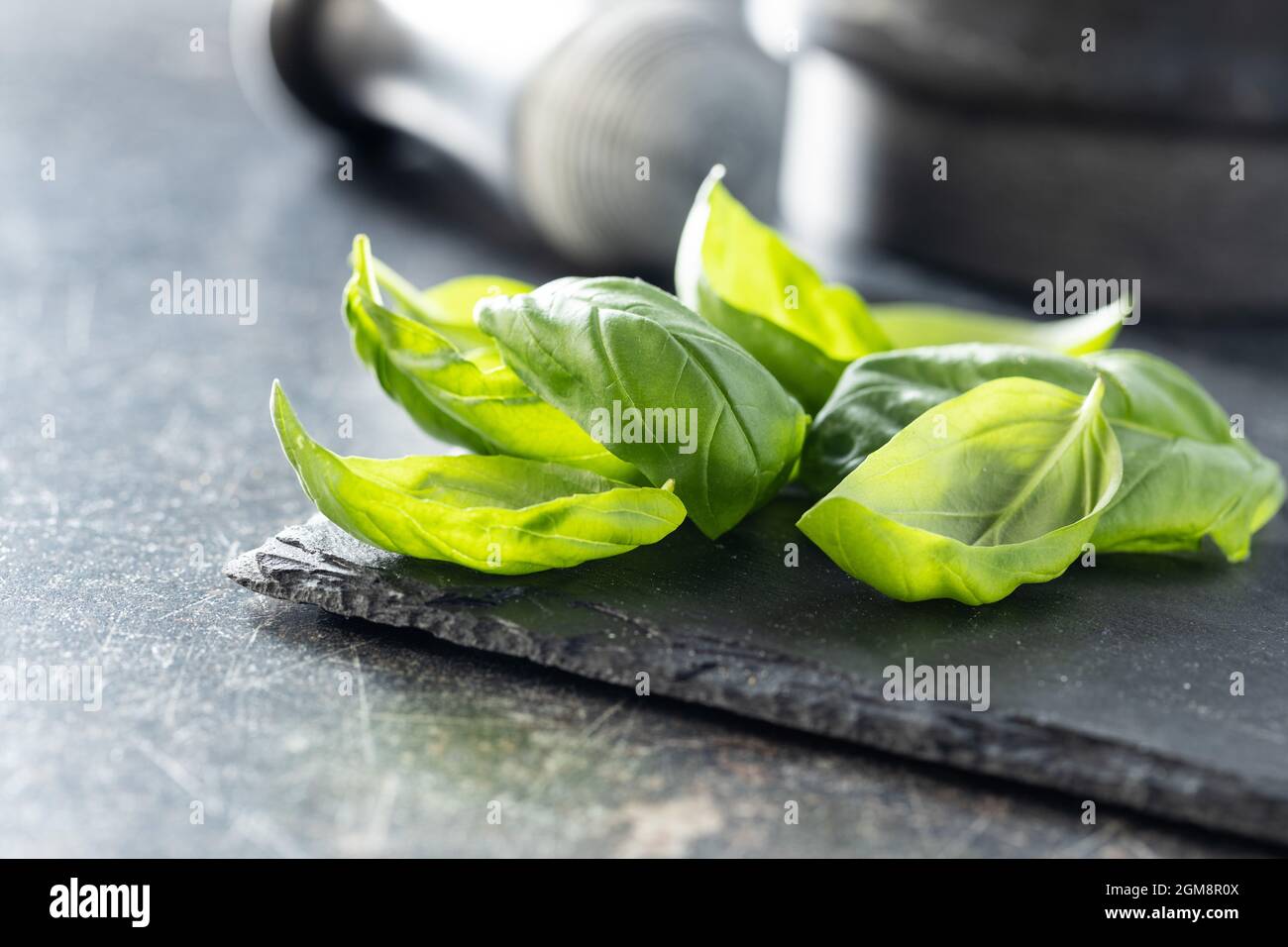 Green basil leaves on hi-res stock photography and images - Alamy