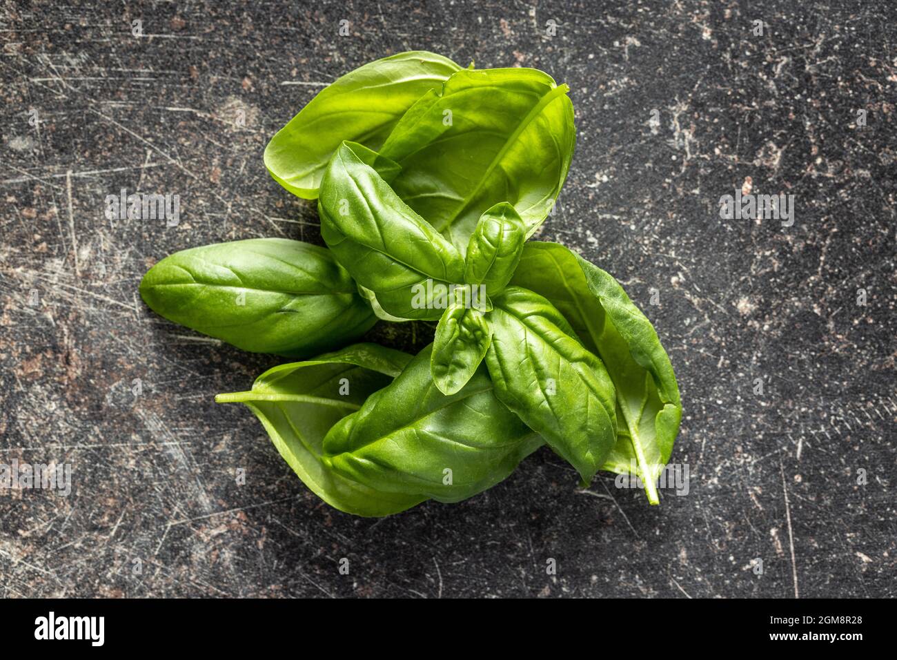Basilic on top hi-res stock photography and images - Alamy