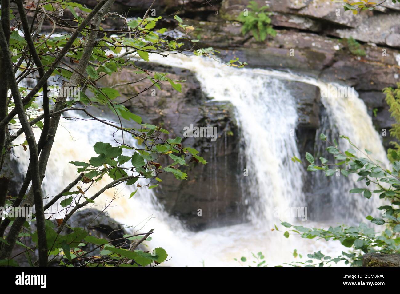 Rogie Falls / Blackwater River, Contin, Scottish Highlands Stock Photo ...