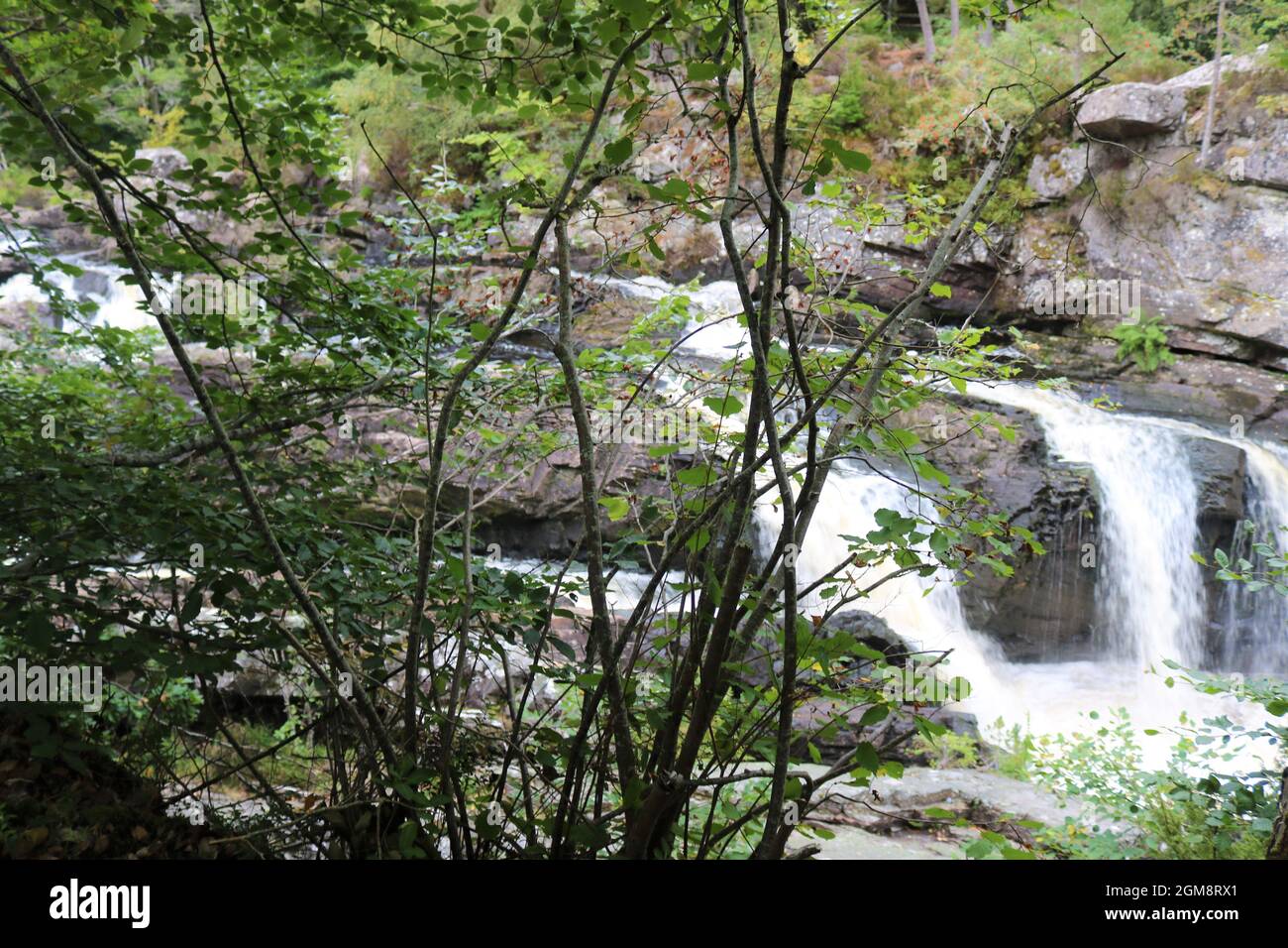 Rogie Falls / Blackwater River, Contin, Scottish Highlands Stock Photo ...